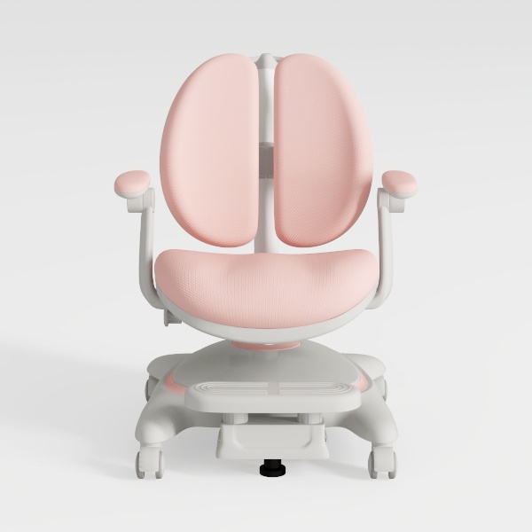 Ergonomic Office Chair S Shape Back Support Easy t | Homestyler ...